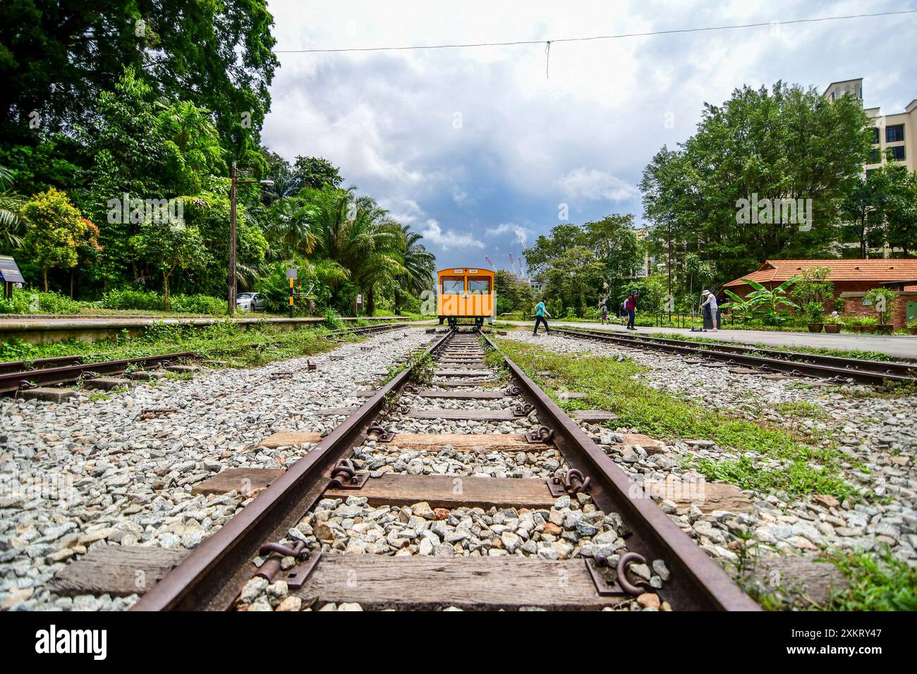 Rail Corridor sights along Bukit Timah Road, Singapore Stock Photo - Alamy