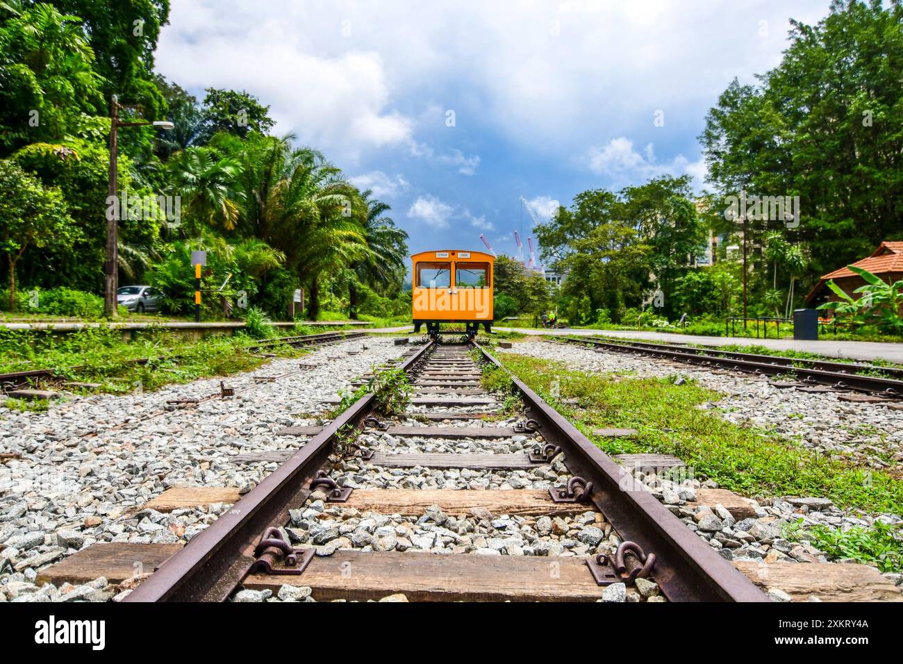 Rail Corridor sights along Bukit Timah Road, Singapore Stock Photo - Alamy