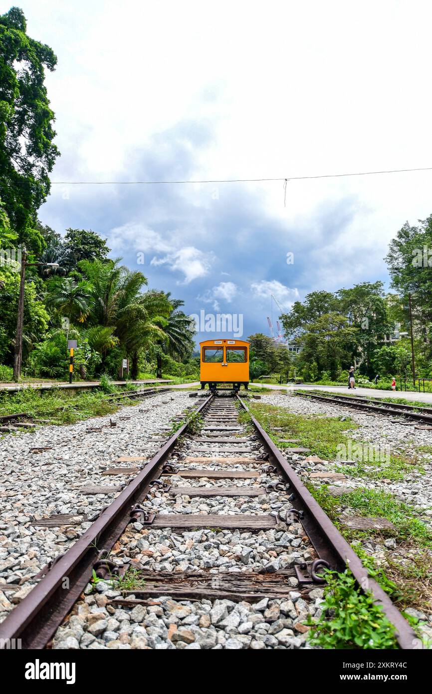 Rail Corridor sights along Bukit Timah Road, Singapore Stock Photo - Alamy