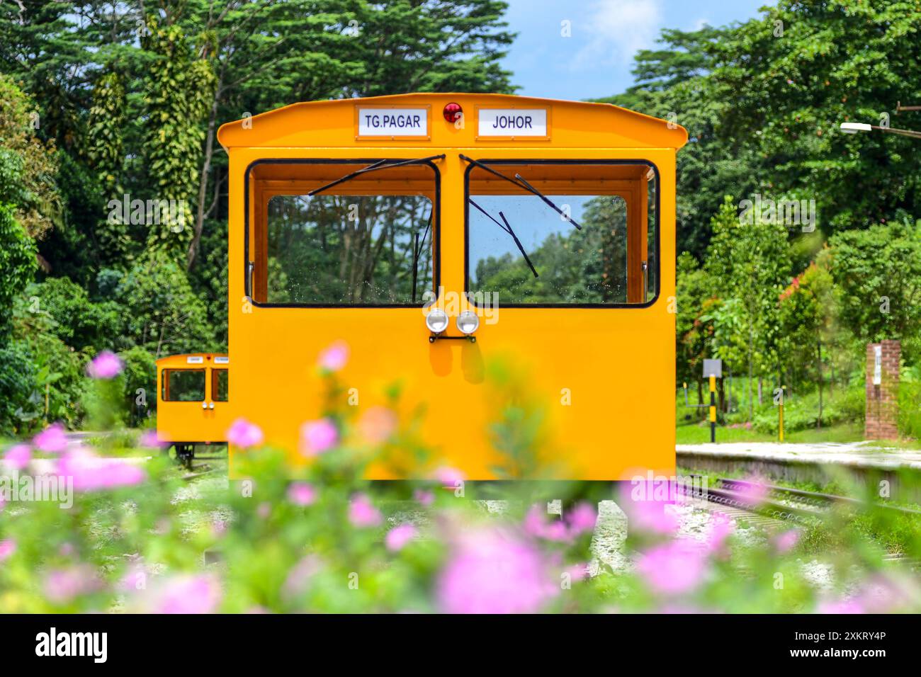 Rail Corridor sights along Bukit Timah Road, Singapore Stock Photo - Alamy