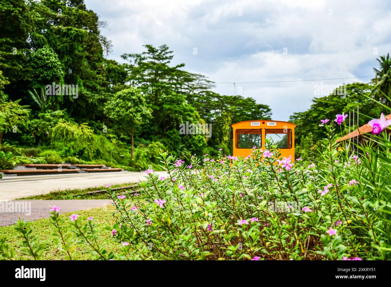 Rail Corridor sights along Bukit Timah Road, Singapore Stock Photo - Alamy