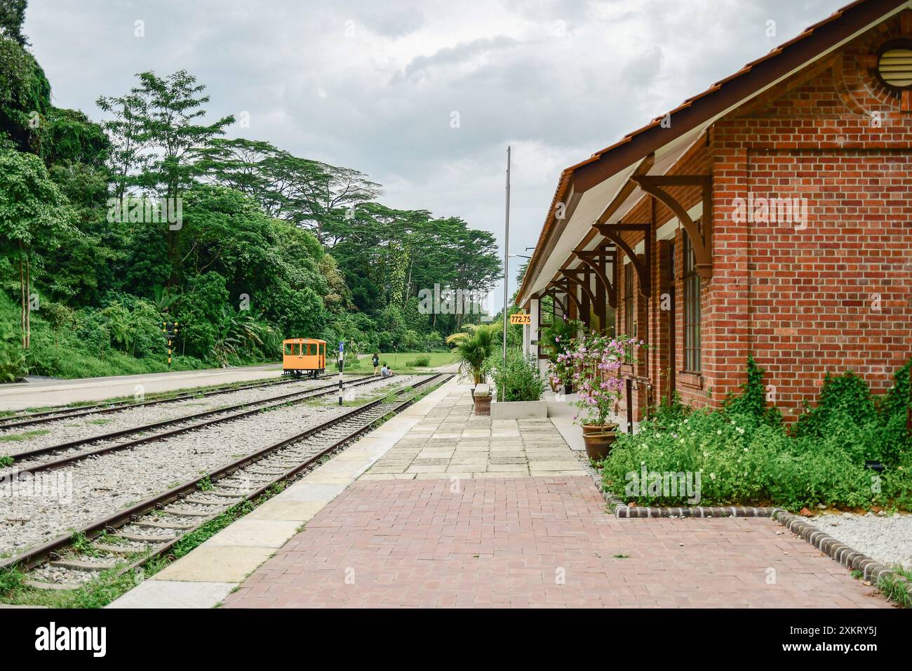 Rail Corridor sights along Bukit Timah Road, Singapore Stock Photo - Alamy
