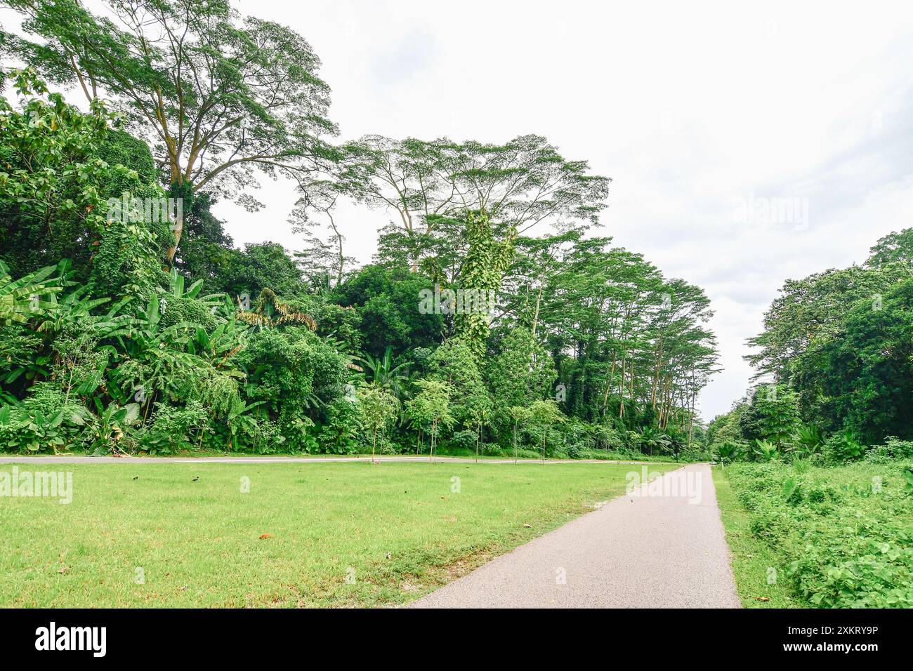Rail Corridor sights along Bukit Timah Road, Singapore Stock Photo - Alamy