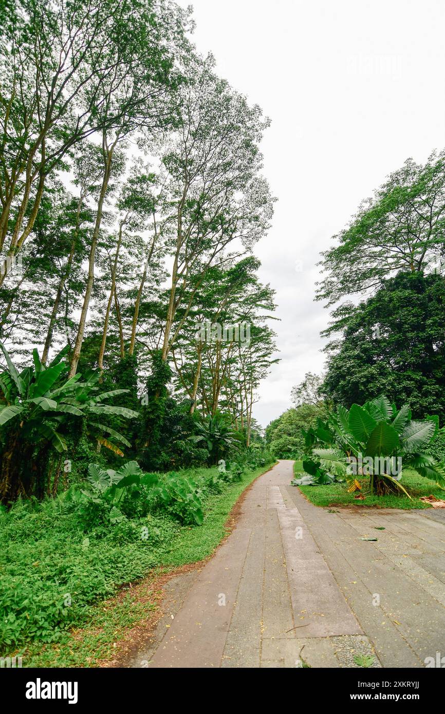 Rail Corridor sights along Bukit Timah Road, Singapore Stock Photo - Alamy