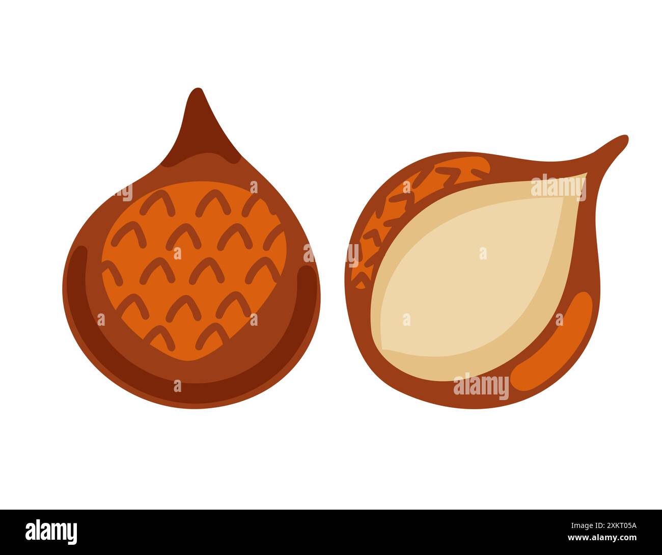 Fresh salak (snake fruit), whole and halved, showcasing its reddish ...