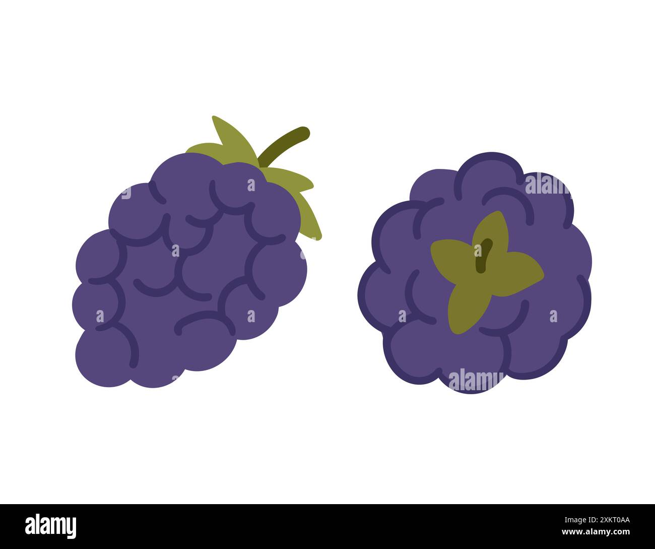 Natural texture highlighting Stock Vector Images - Alamy