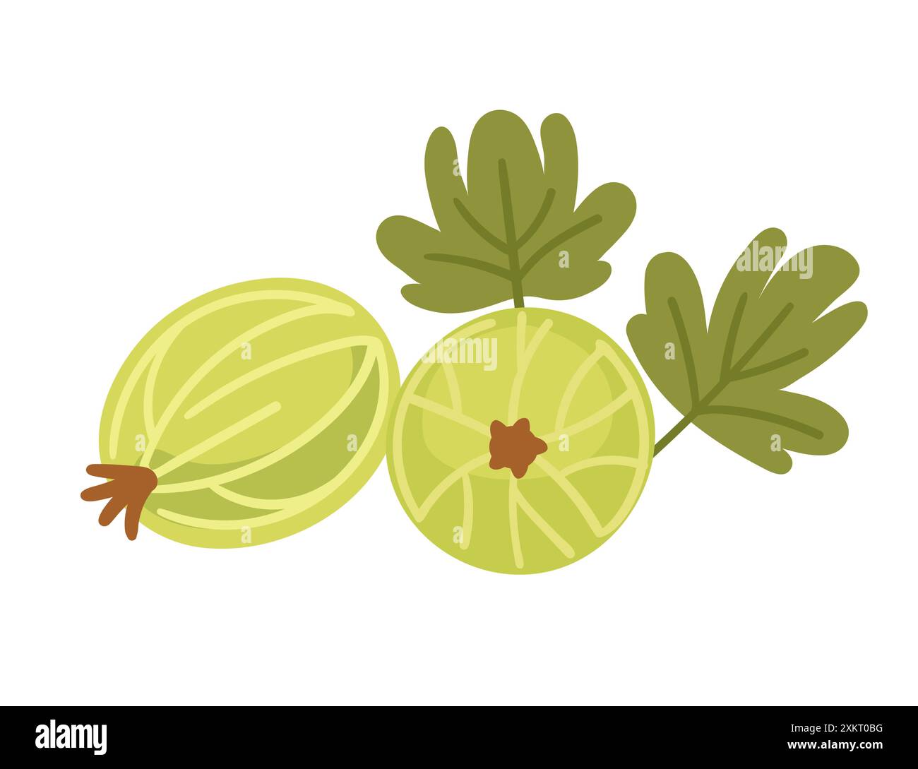 Illustration gooseberry fruit cartoon hi-res stock photography and ...