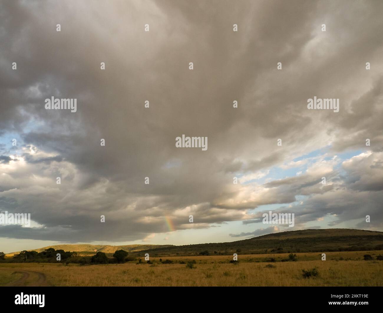Huge rain clouds over Masai Mara National Reserve savannah. Masai Mara ...