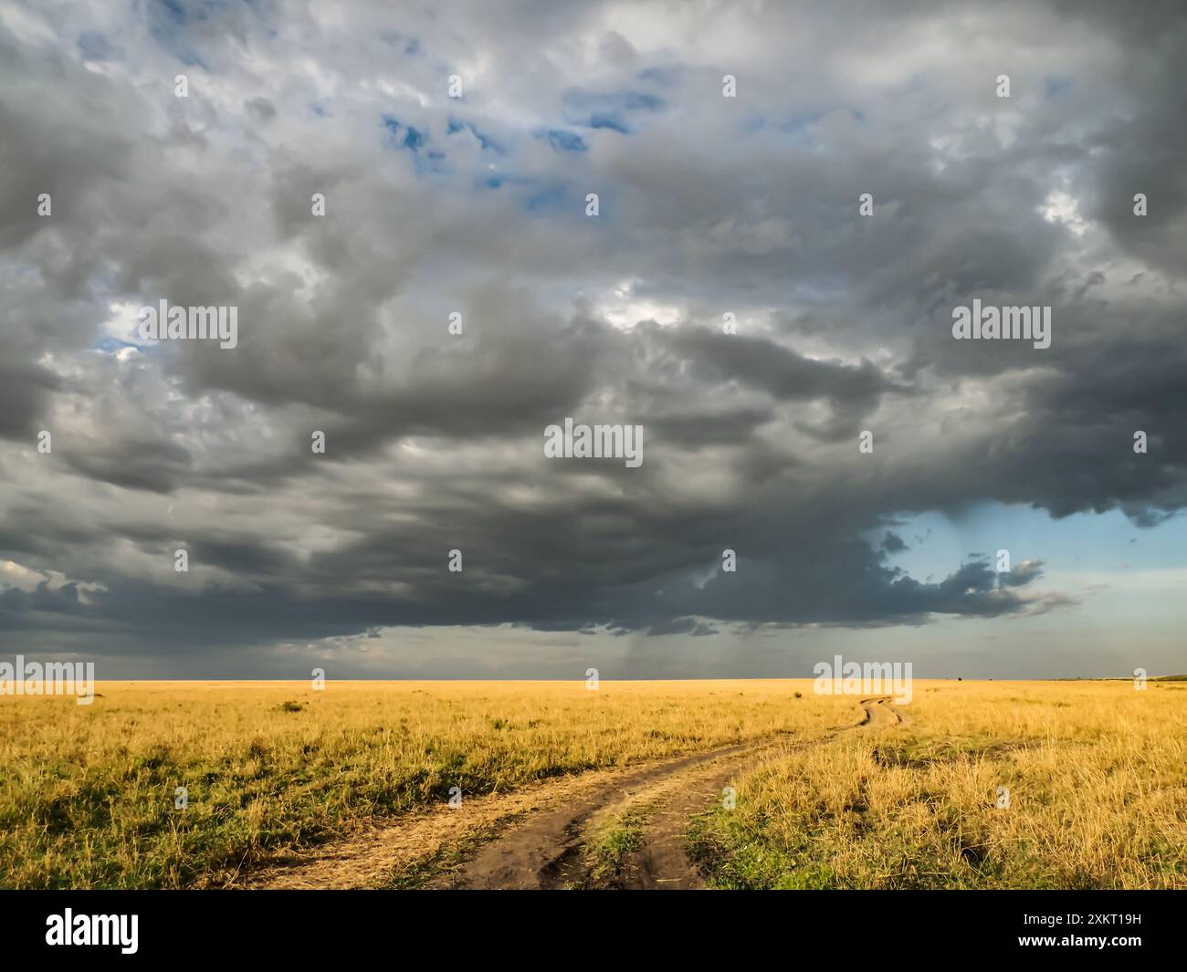 Huge rain clouds over Masai Mara National Reserve savannah. Masai Mara ...
