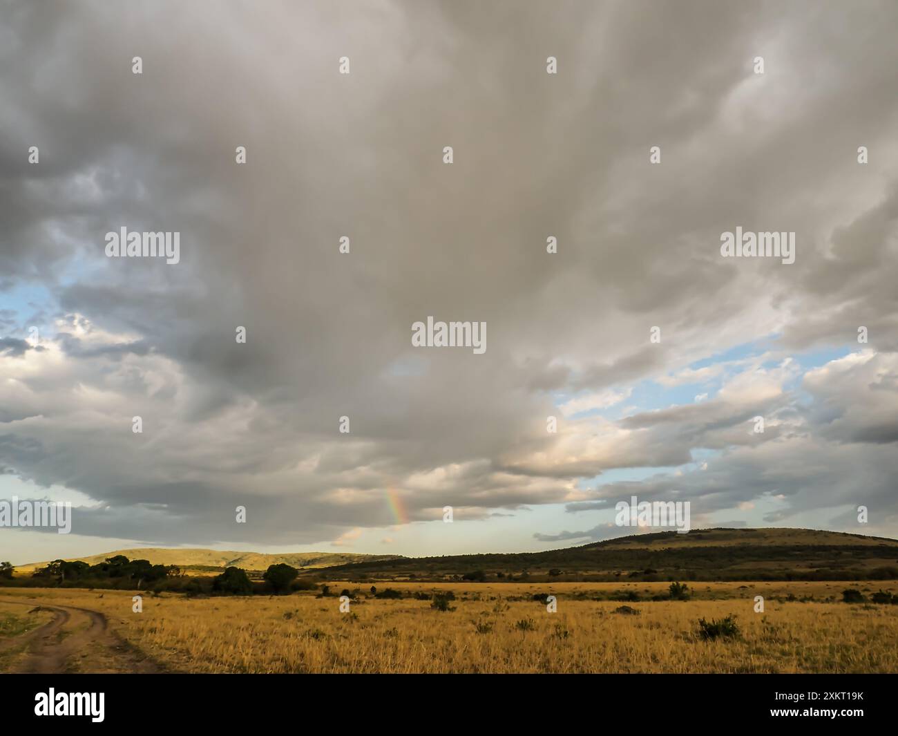 Huge rain clouds over Masai Mara National Reserve savannah. Masai Mara ...