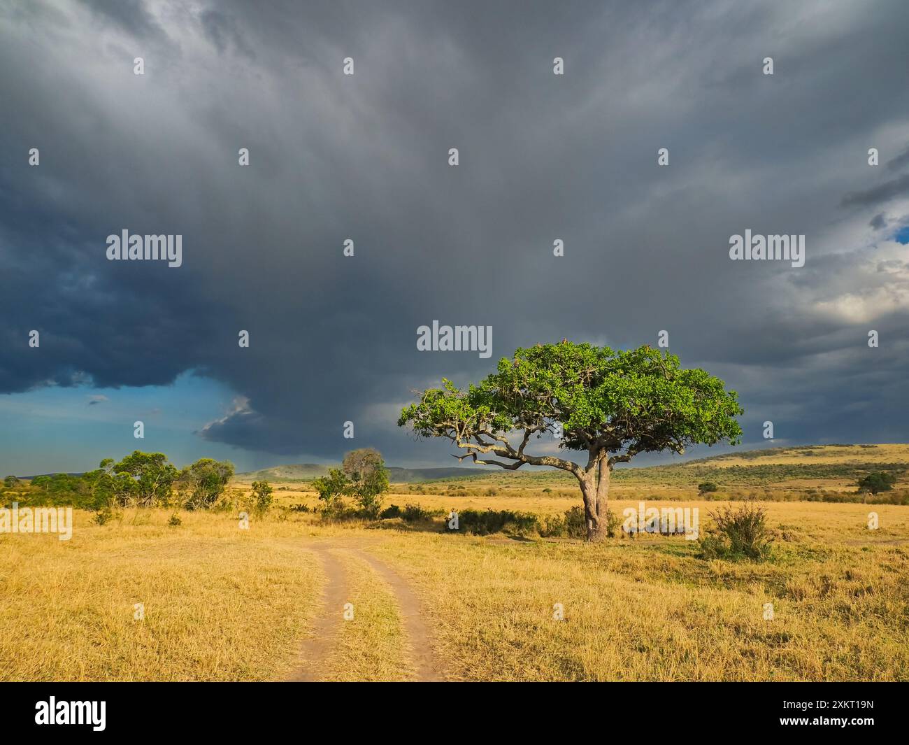 Scattered seven natural wonders of africa hi-res stock photography and ...