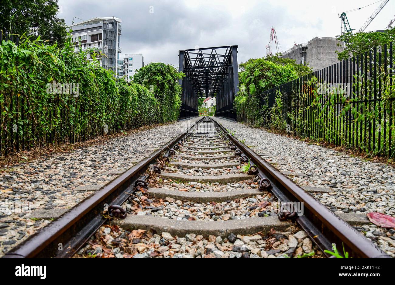 Rail Corridor sights along Bukit Timah Road, Singapore Stock Photo - Alamy