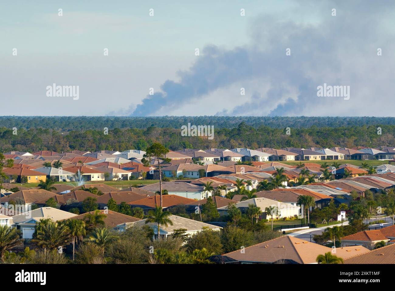 Prescribed fire florida hi-res stock photography and images - Alamy