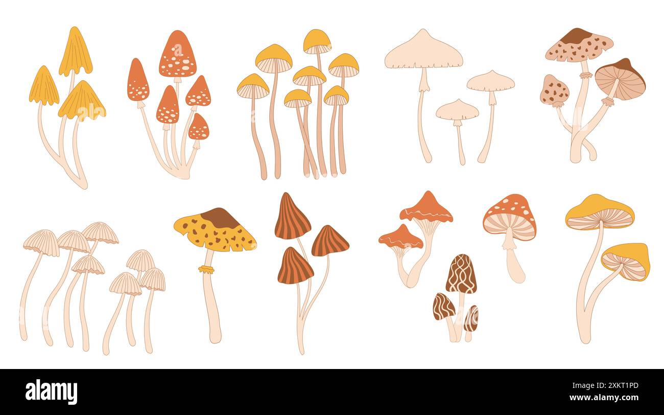 Cartoon poisonous toadstool Stock Vector Images - Alamy