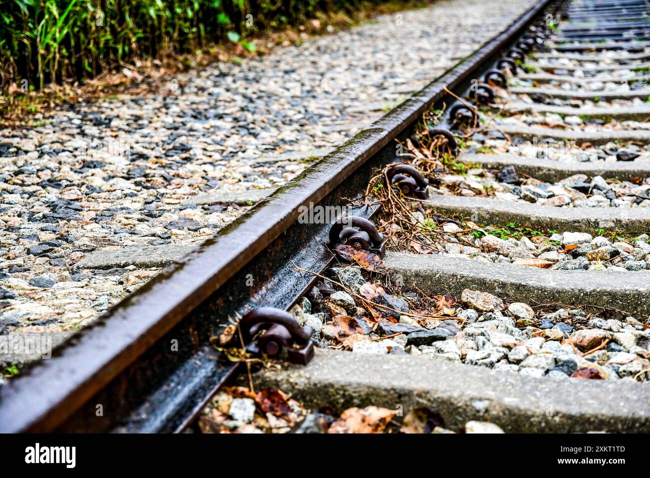 Railway tracks of the Rail Corridor in Singapore Stock Photo - Alamy