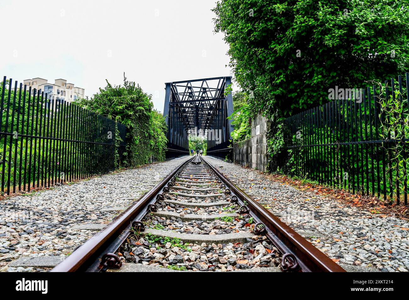 Rail Corridor sights along Bukit Timah Road, Singapore Stock Photo - Alamy