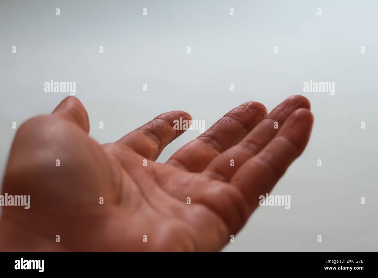 Female hand extended and open partially blurred on a white background ...