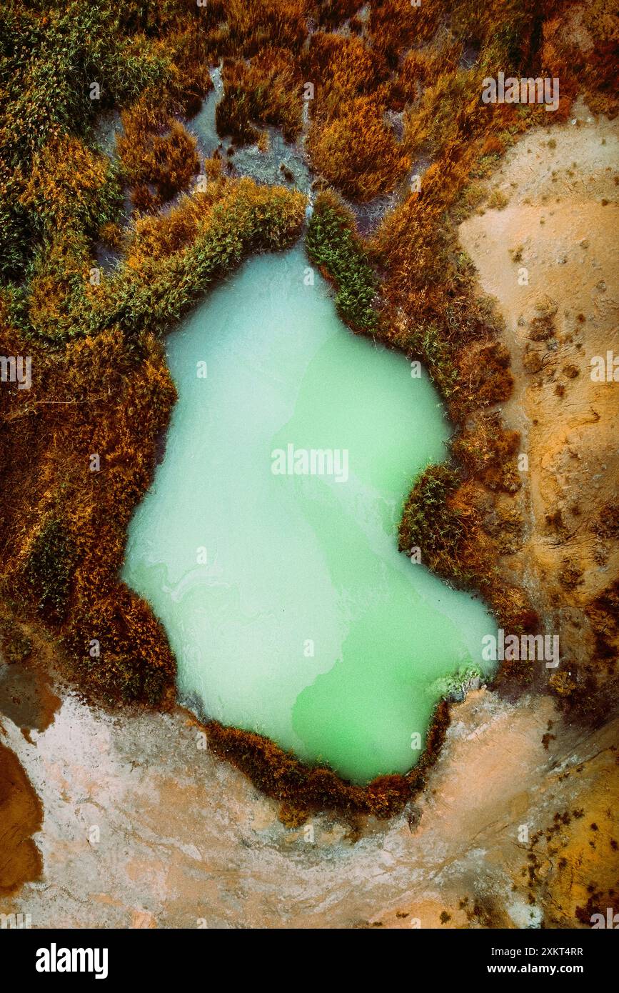 [A green pond in Semnan] This small pond is surrounded by desert and it ...