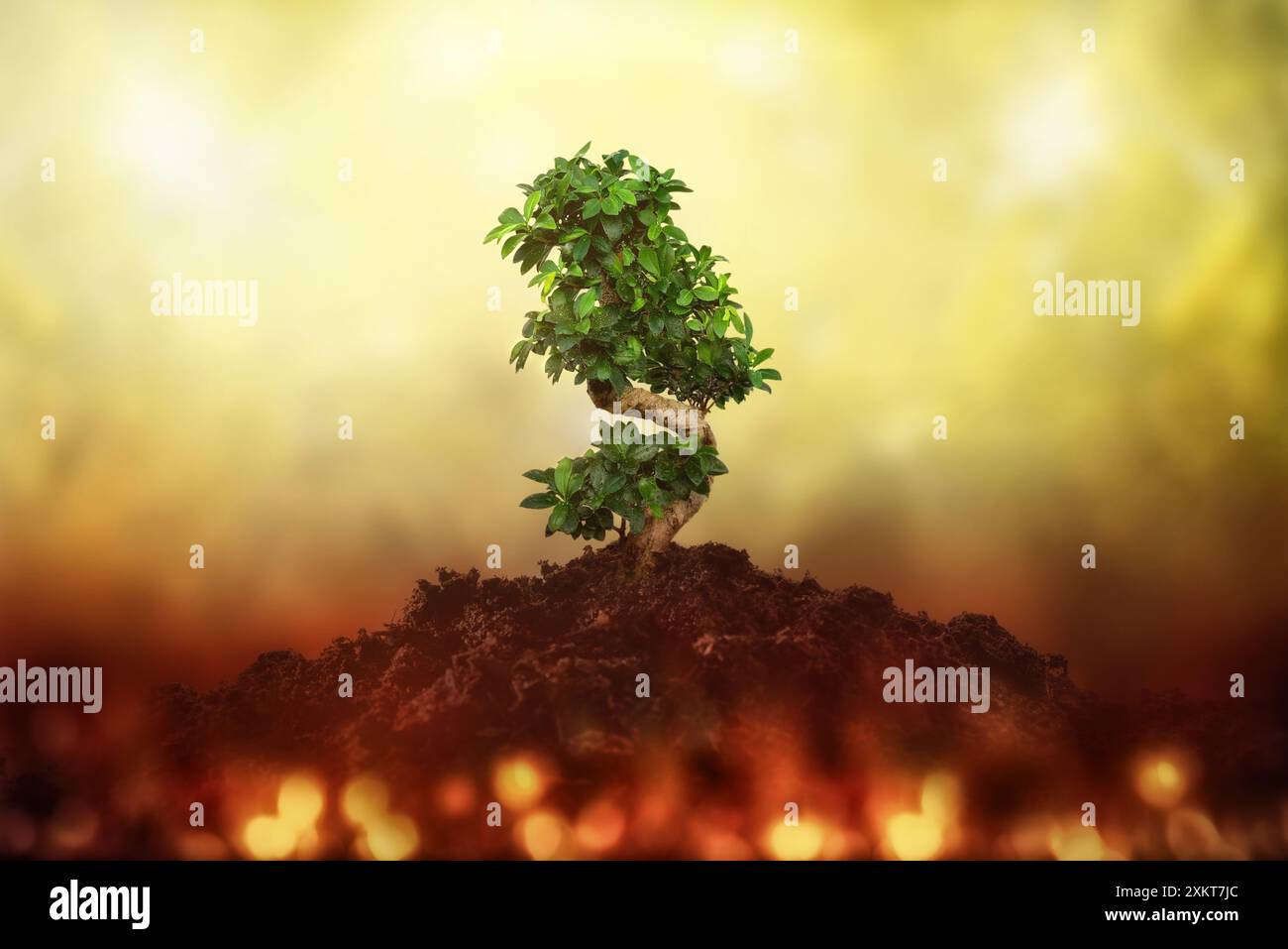Concept of protection and prevention of fires in nature with tree on ...