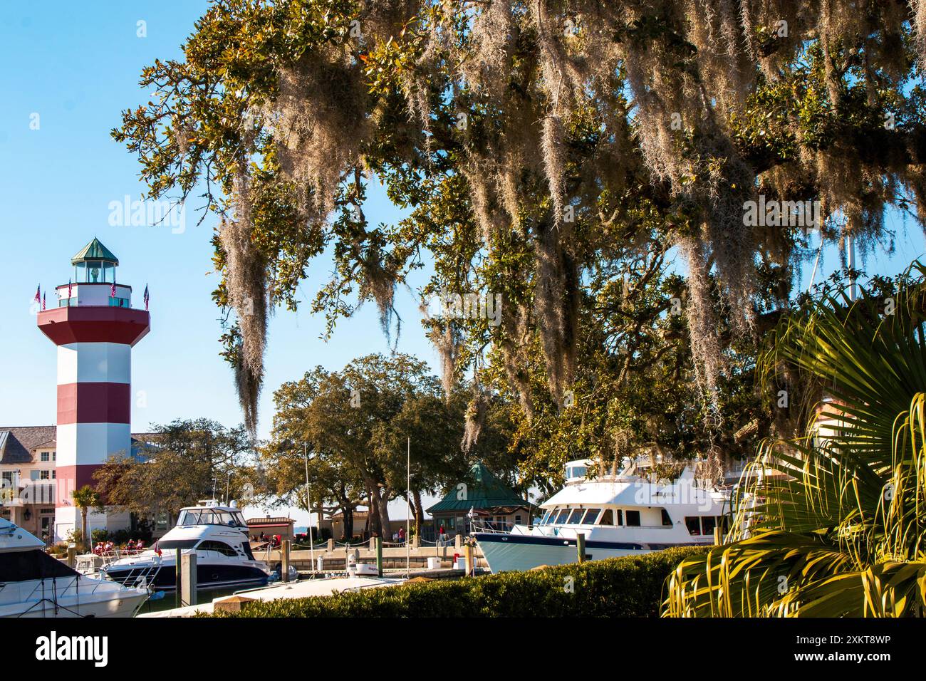 Looking through Spanish Moss at Marina in Hilton Head with the Harbour ...