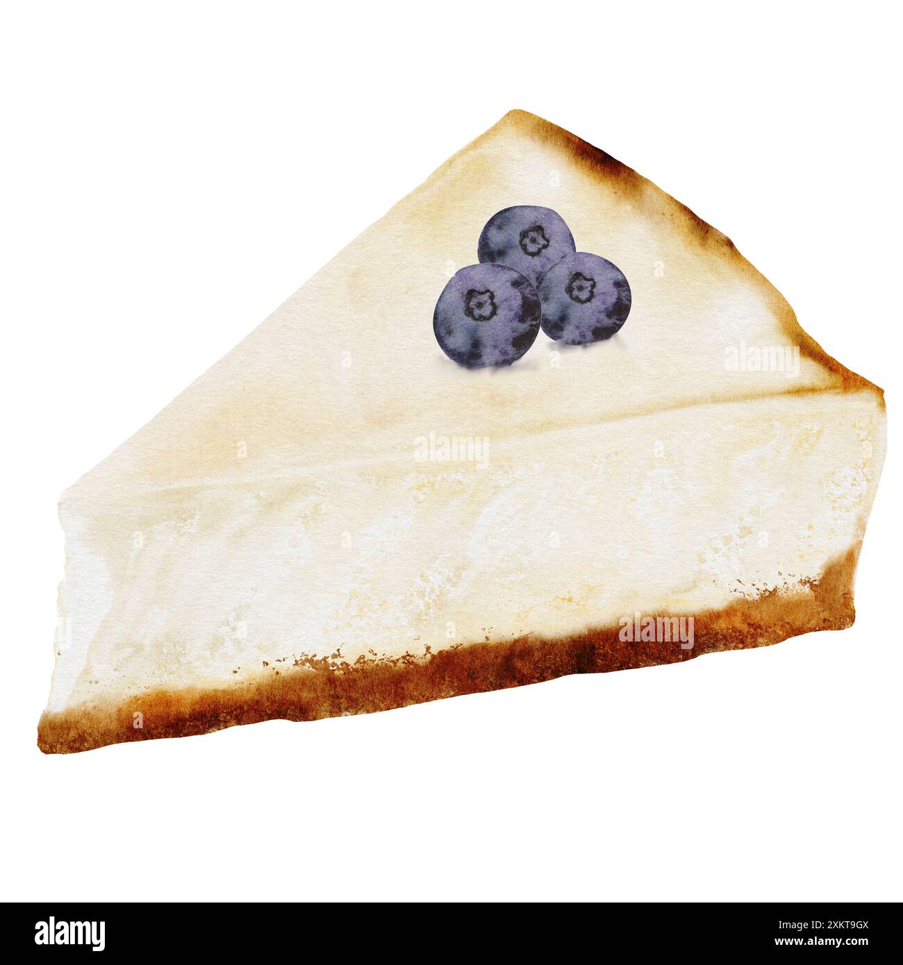 Classic cheesecake. Watercolor illustration of New York cheesecake on ...