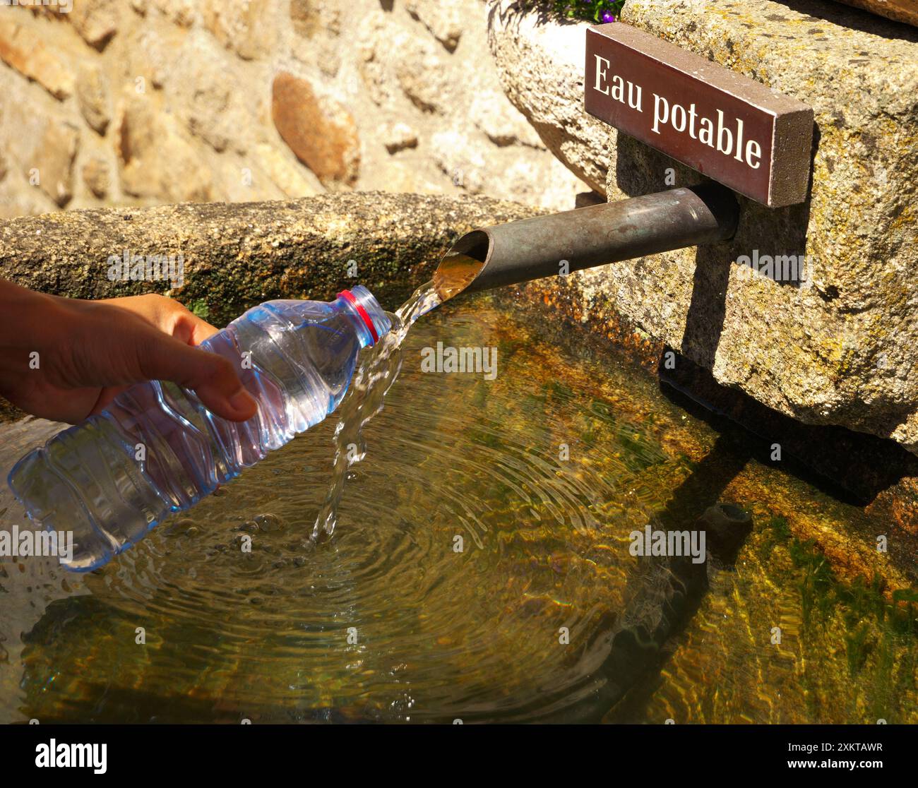 A closeup shot of a hand holding a plastic bottle and filling with ...