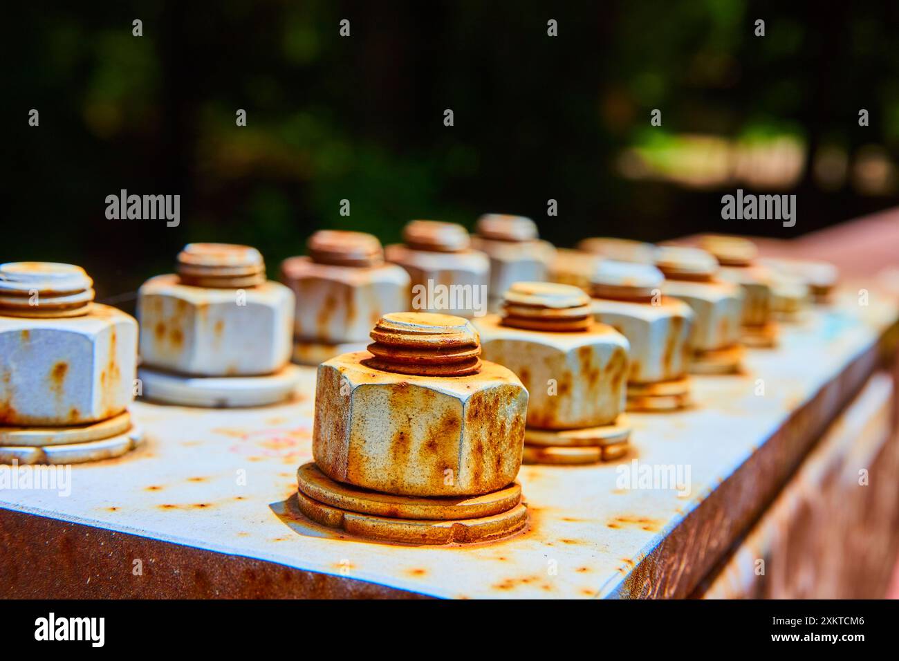 Rusted Industrial Bolts and Nuts Close-Up with Blurred Background Stock ...
