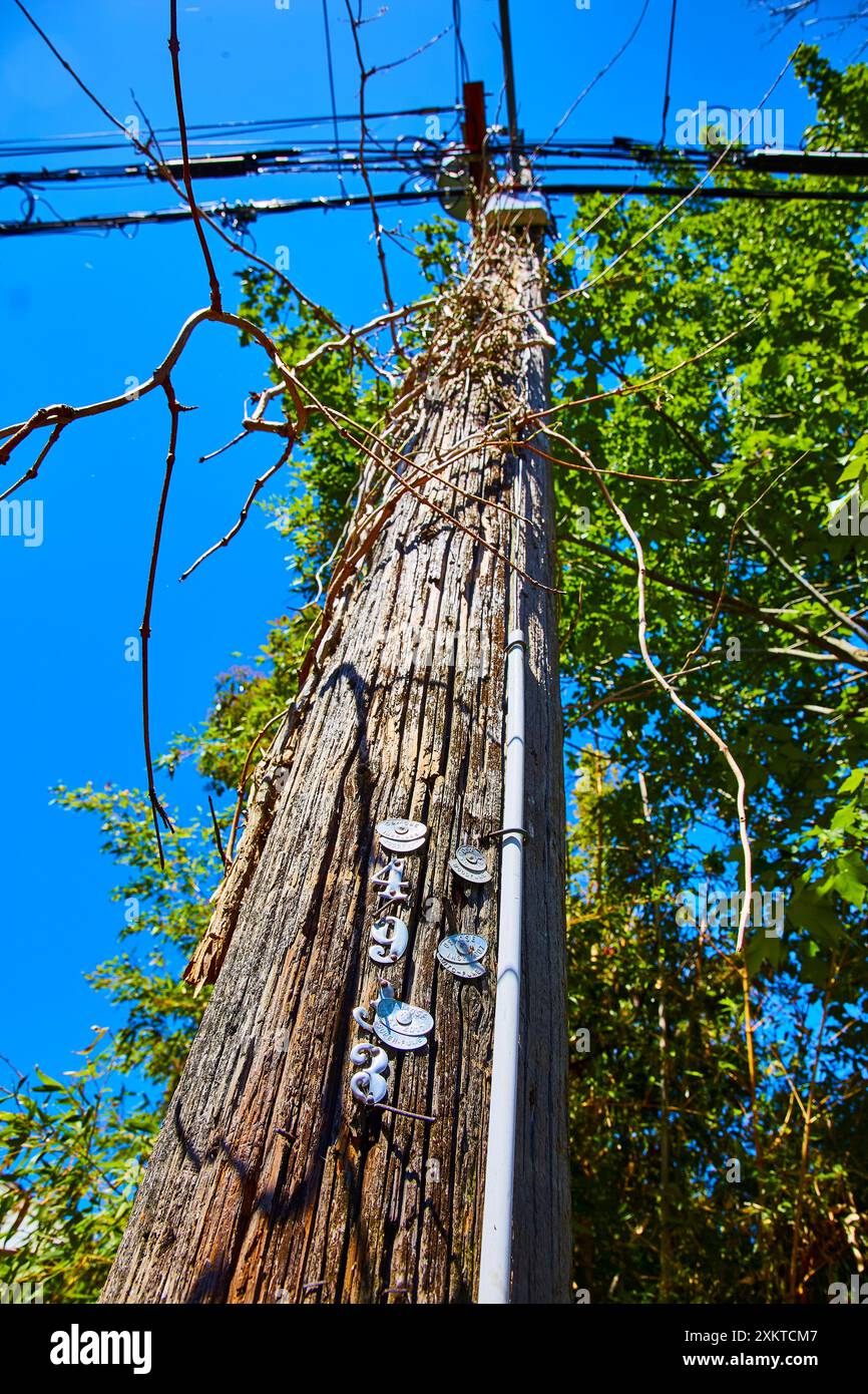 Utility pole with insulators hi-res stock photography and images - Alamy