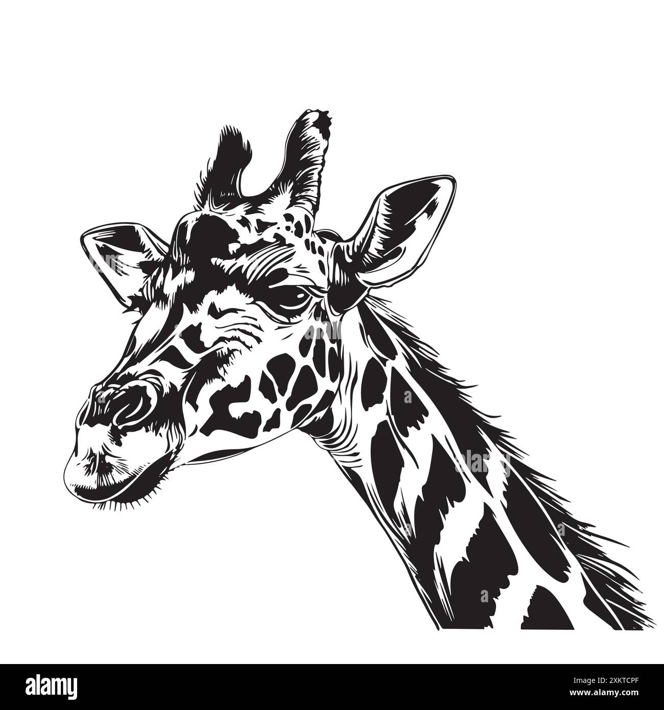 Beautiful hand drawn illustration portrait of giraffe. Sketch style ...