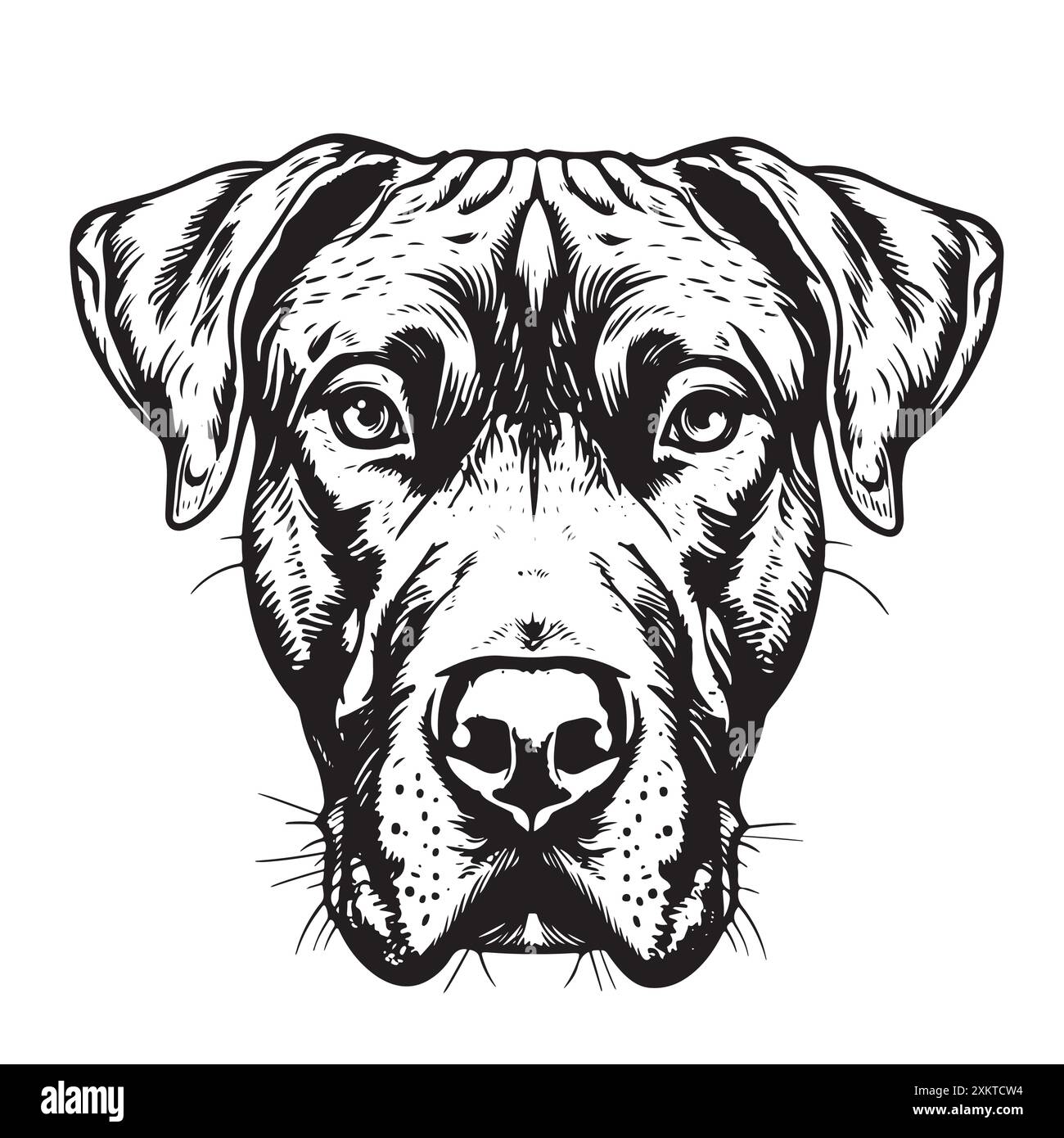 Cute labrador puppy in Black and White Stock Photos & Images - Alamy