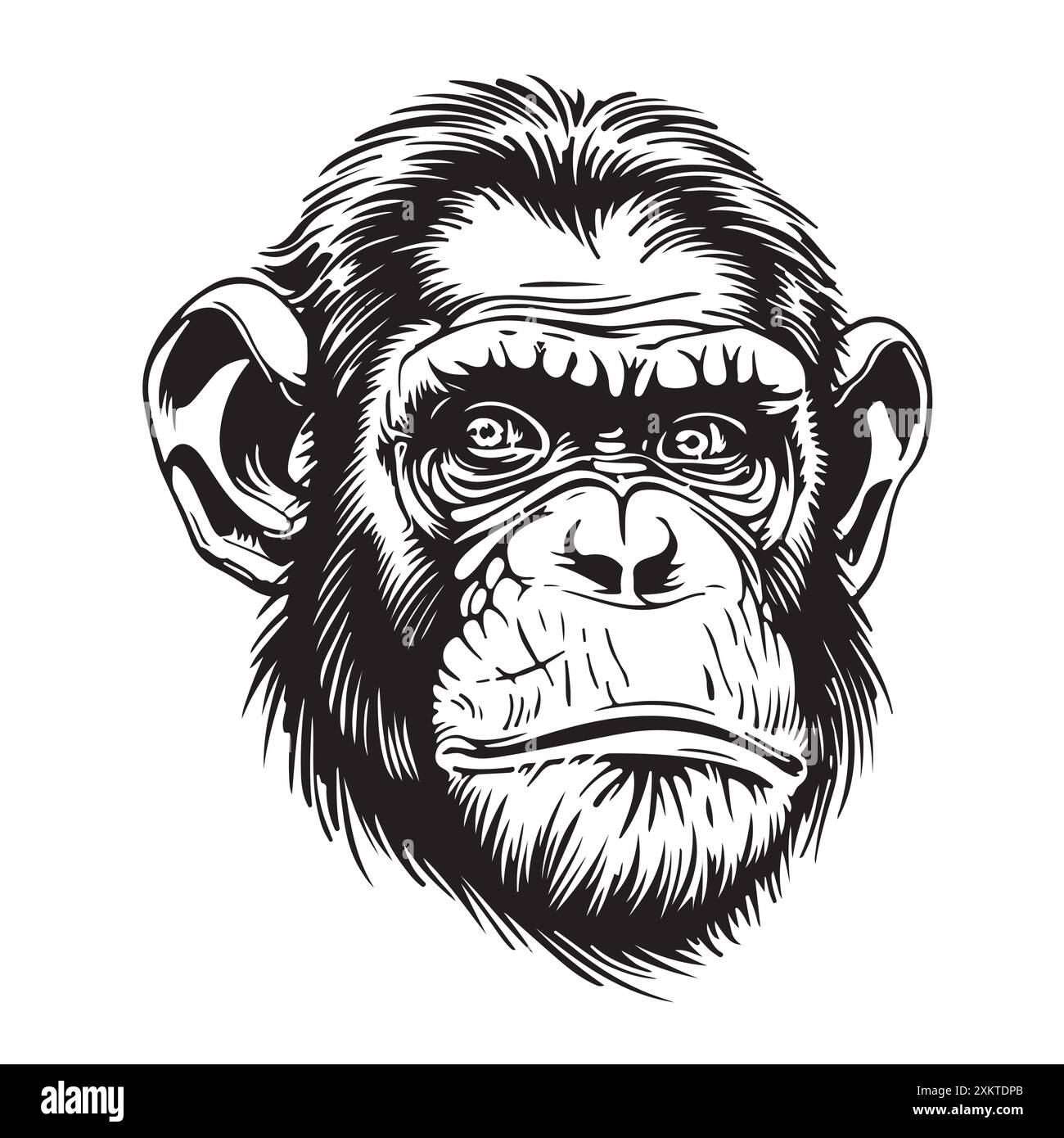 Sketch monkey face. Hand drawn doodle vector illustration Stock Vector ...