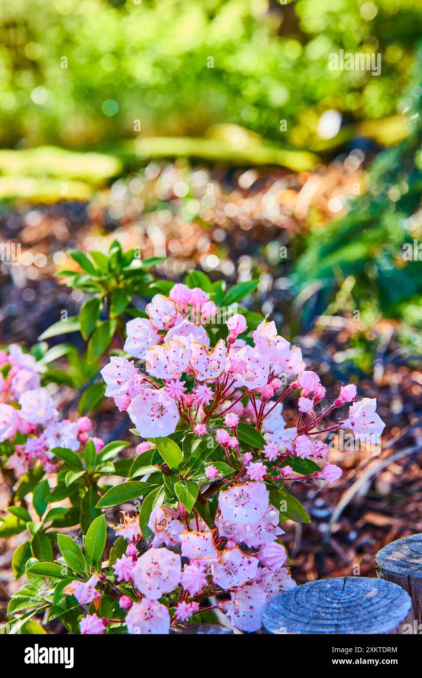 Gresham japanese garden hi-res stock photography and images - Alamy