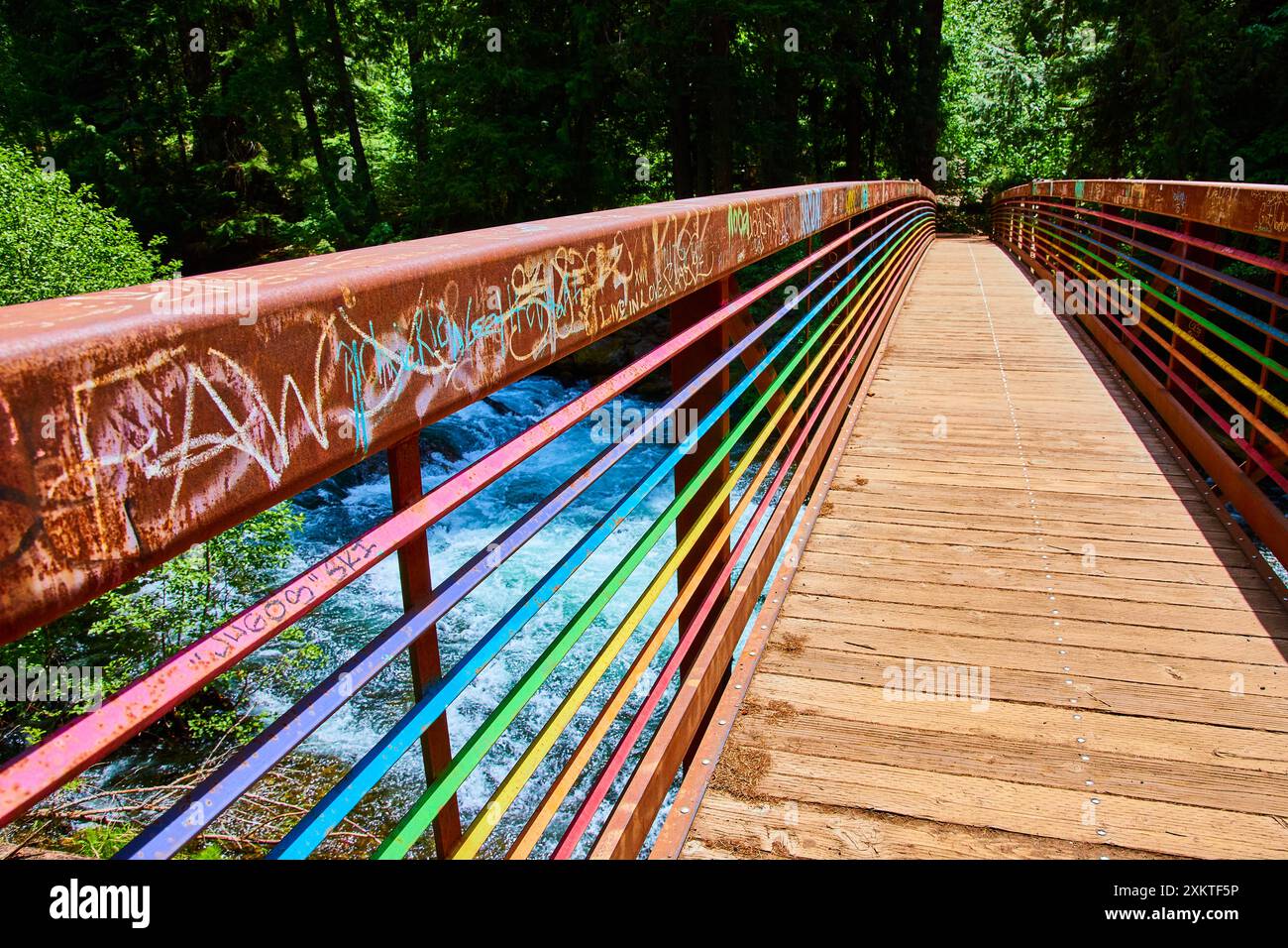Colorful Graffiti Bridge Over River in Forest Eye-Level Perspective ...