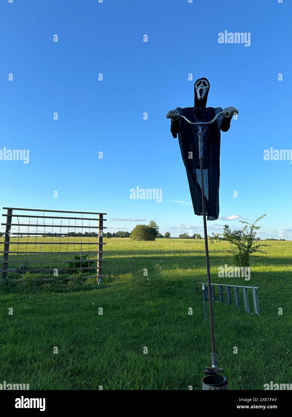 Metal scarecrow hi-res stock photography and images - Alamy