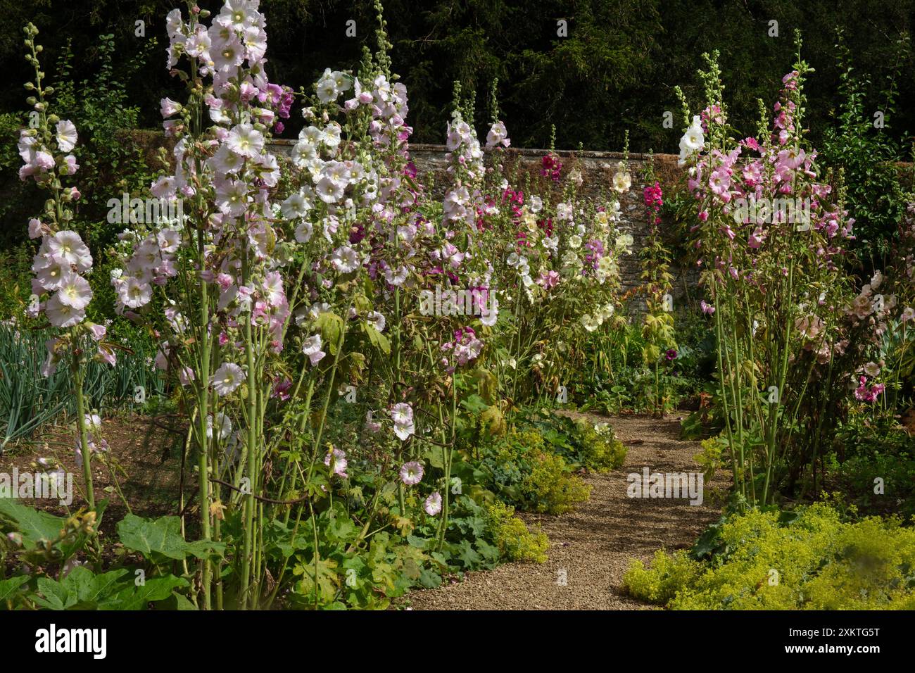 Rousham House Gardens, Rousham, Oxfordshire,England Stock Photo - Alamy