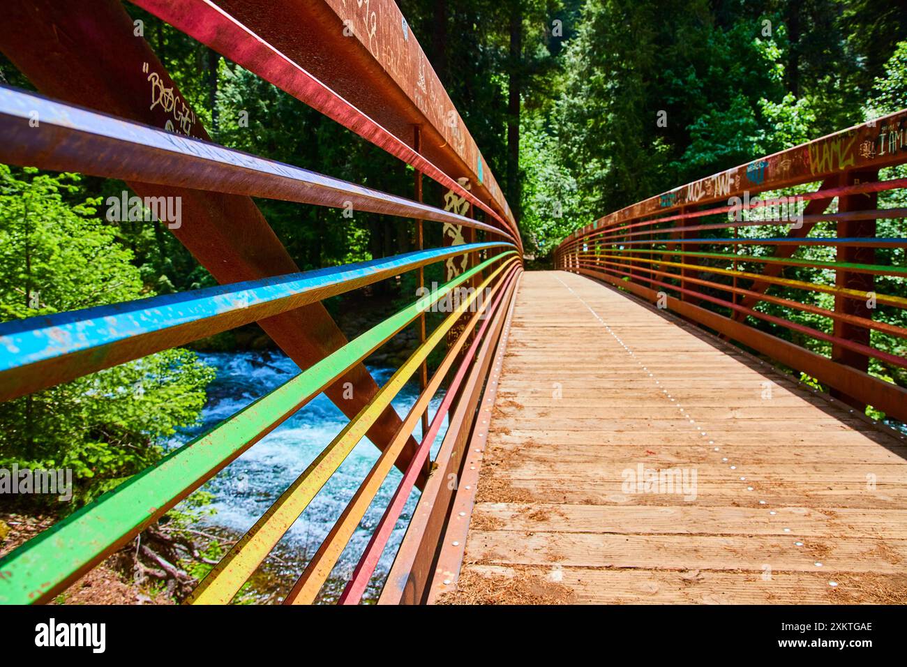 Vibrant Rainbow Pedestrian Bridge Over Forest Stream Eye-Level ...