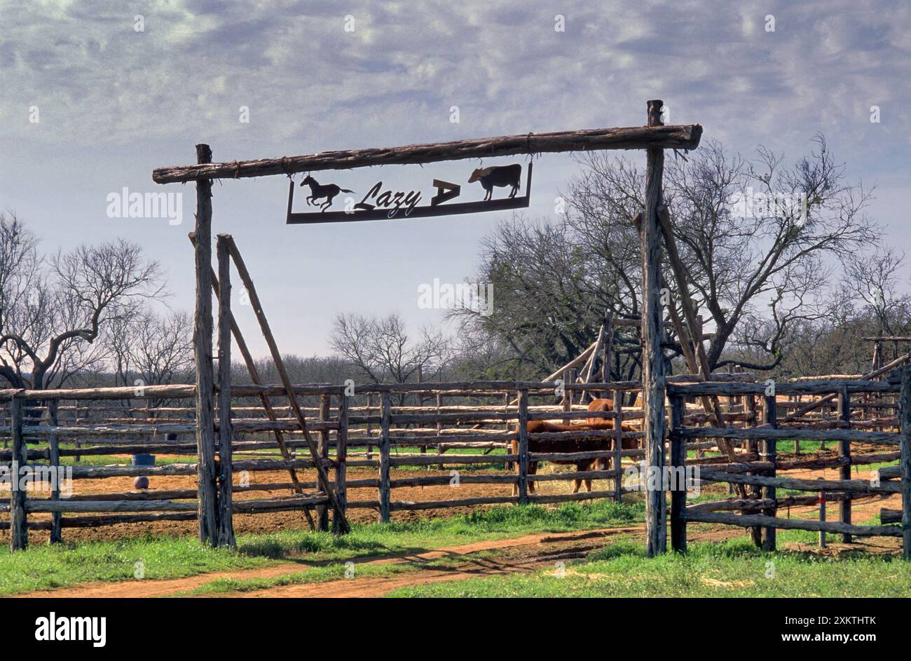 Timber gate with wrought iron sign at corral at FM 500 highway near San ...