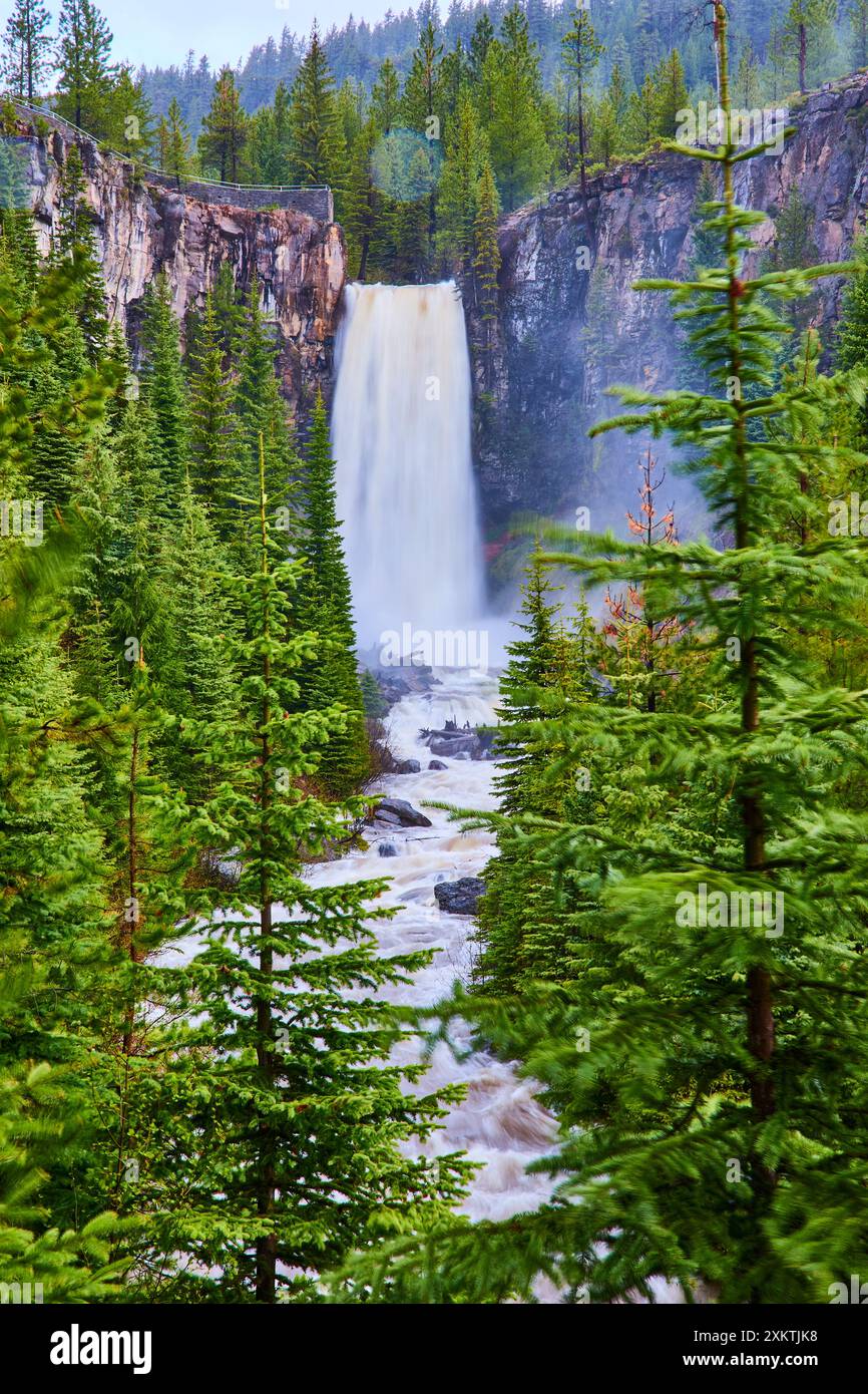 Powerful Tumalo Falls in Lush Deschutes Forest Eye-Level View Stock ...