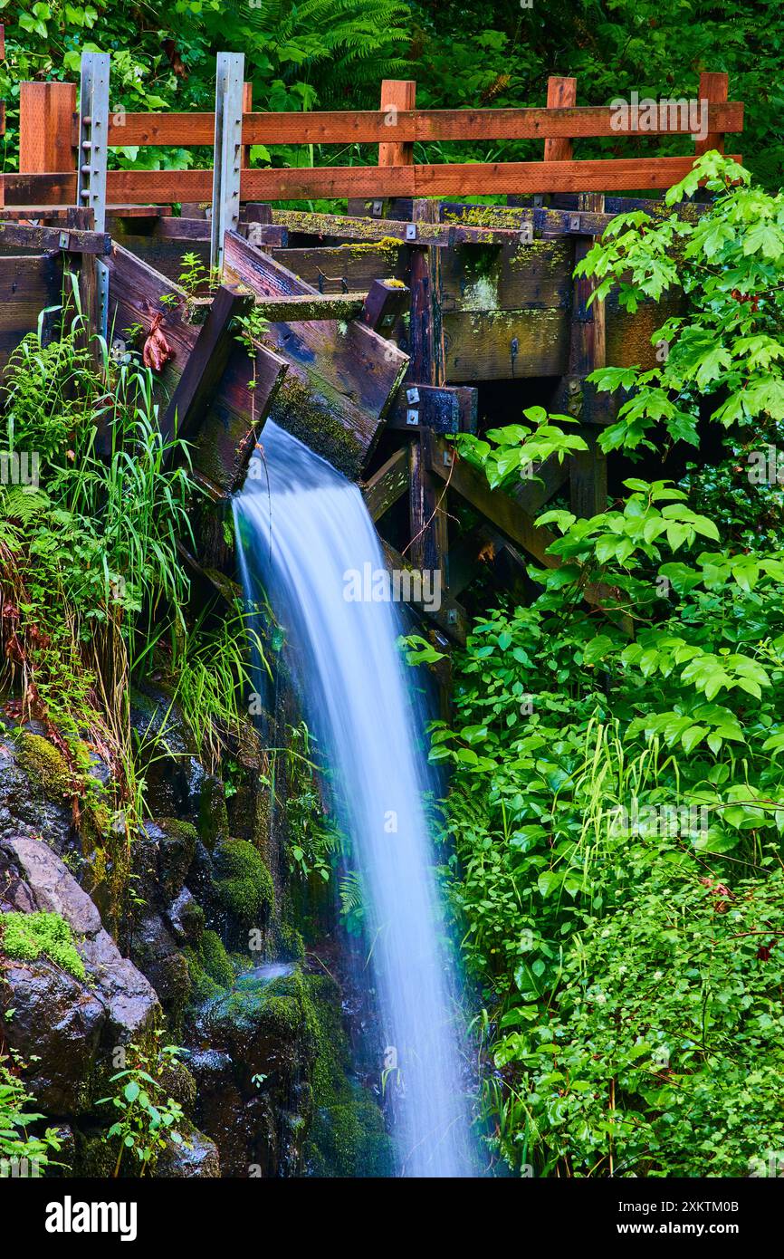 Rustic Water Mill Amidst Lush Greenery Eye-Level Perspective Stock ...