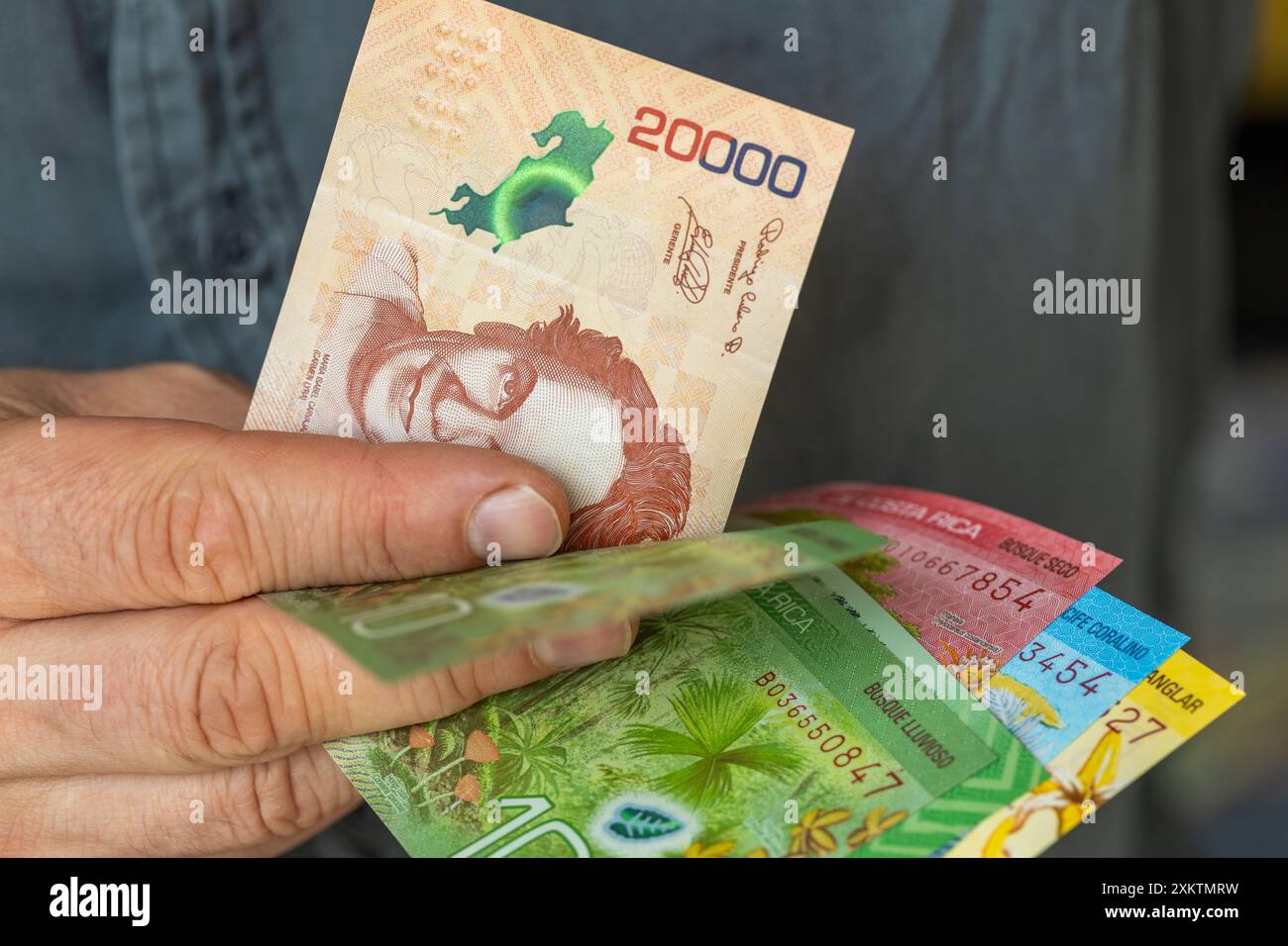 Costa Rica money, Man counts colones banknotes, Cash in hand, Business ...