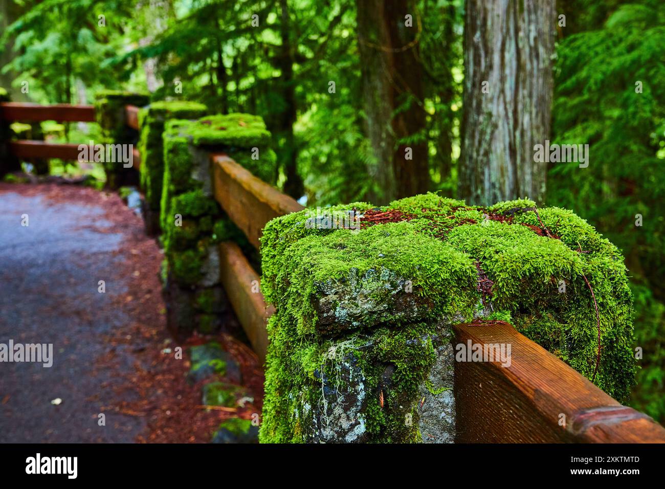 Moss covered pillar hi-res stock photography and images - Alamy