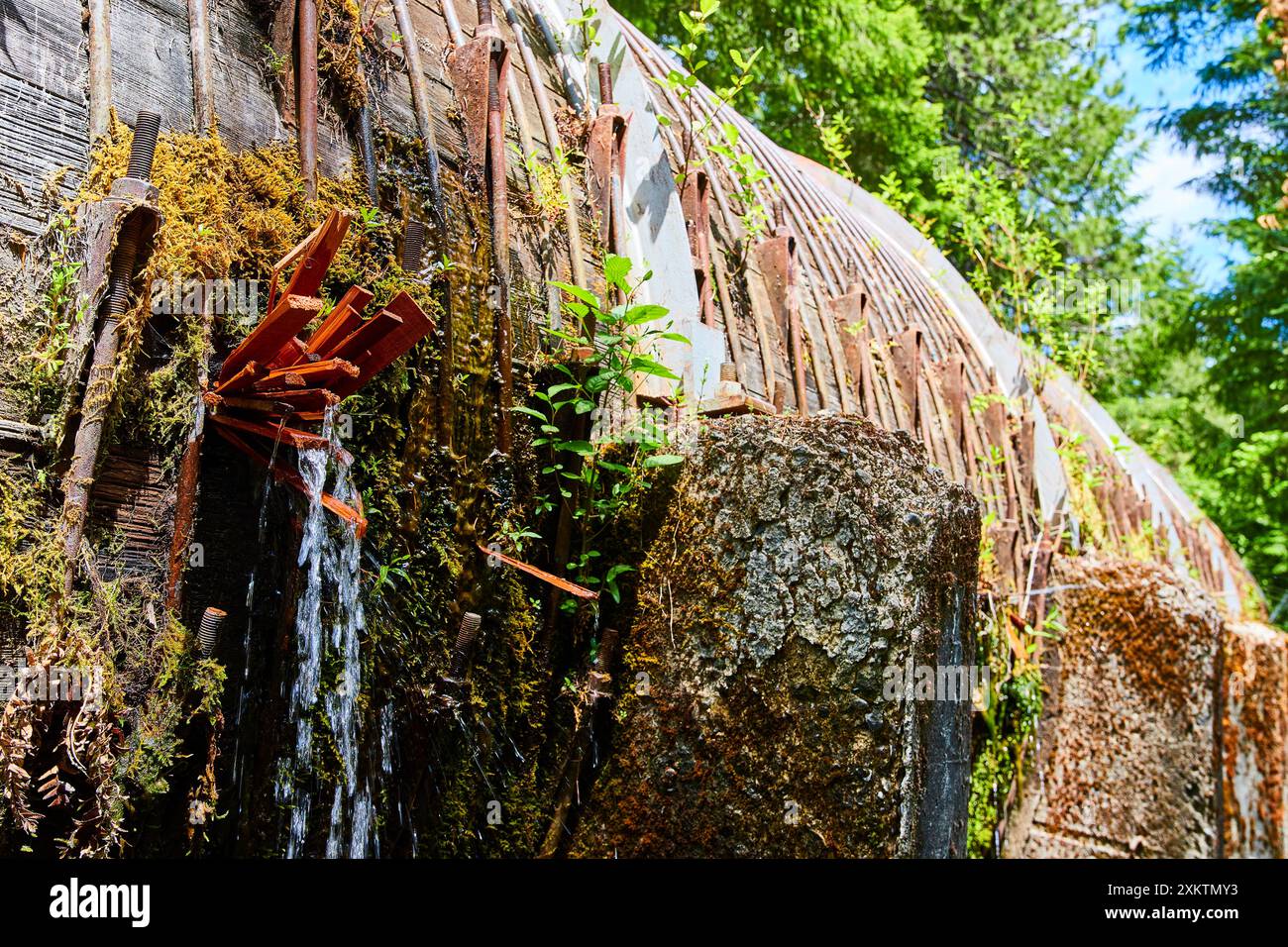 Oregon pipe hi-res stock photography and images - Alamy