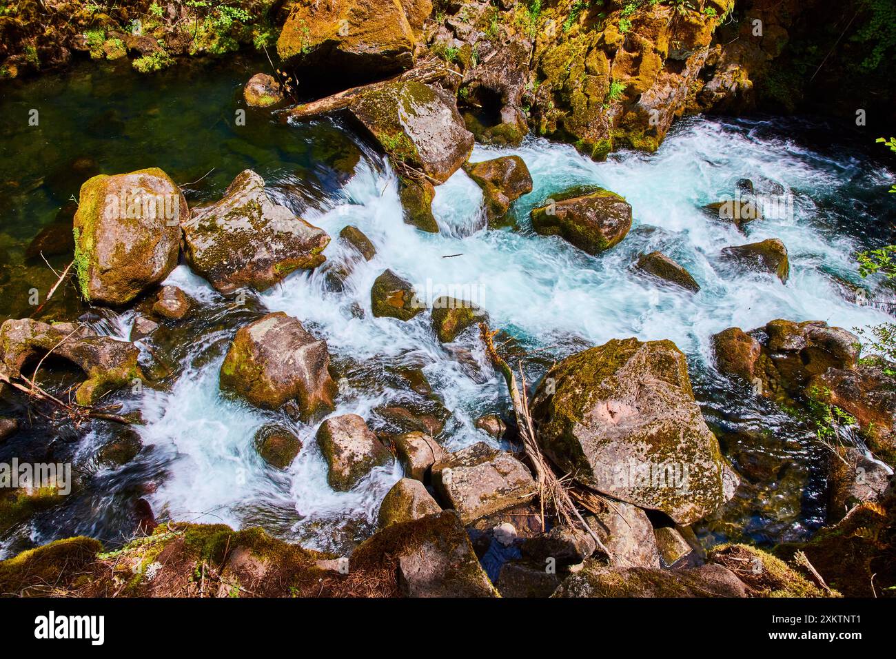 Rushing River Through Mossy Rocks and Forest at Eye Level Stock Photo ...