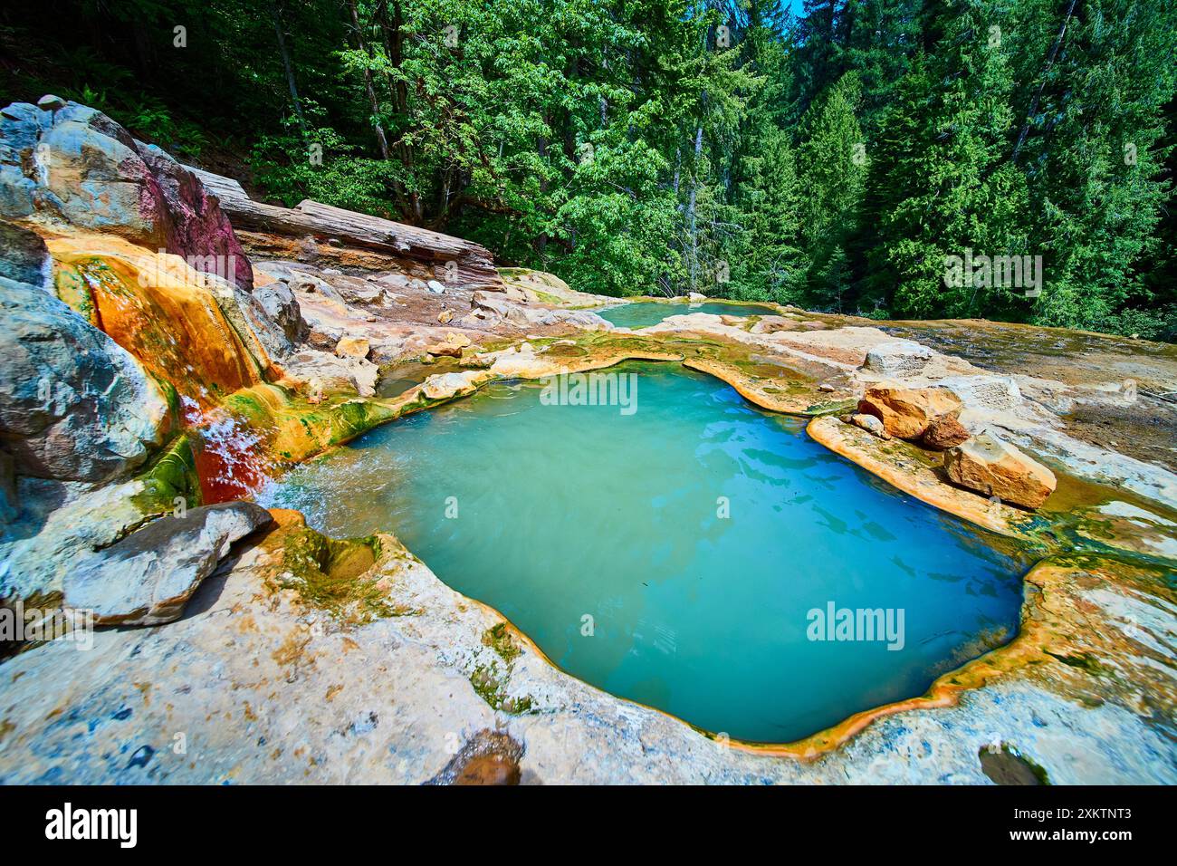 Geothermal Hot Spring in Forest with Waterfall Eye-Level View Stock ...
