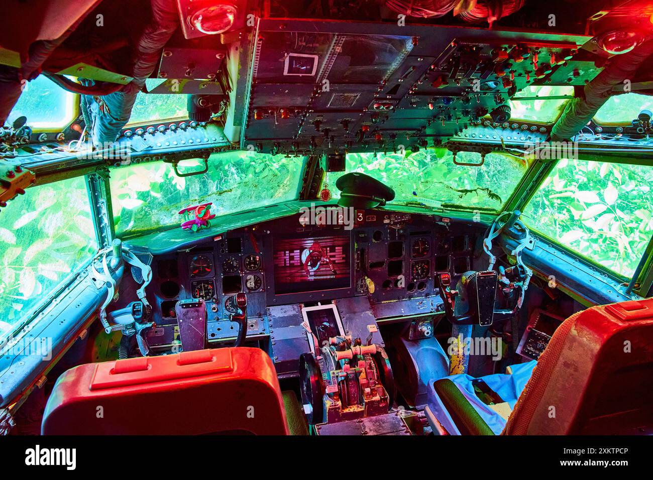 Abandoned Airplane Cockpit Overrun by Nature from Pilot's Perspective ...