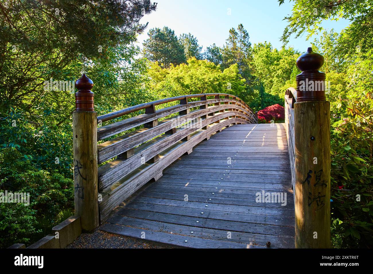 Serene Wooden Bridge in Lush Garden Eye-Level Perspective Stock Photo ...
