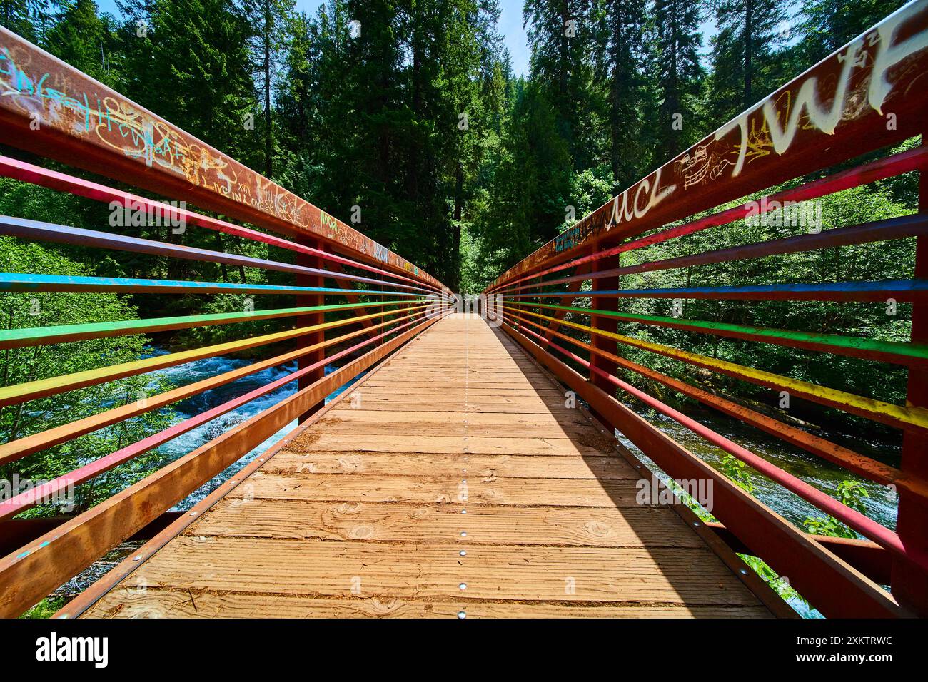 Colorful Rainbow Bridge in Lush Forest Eye-Level Perspective Stock ...