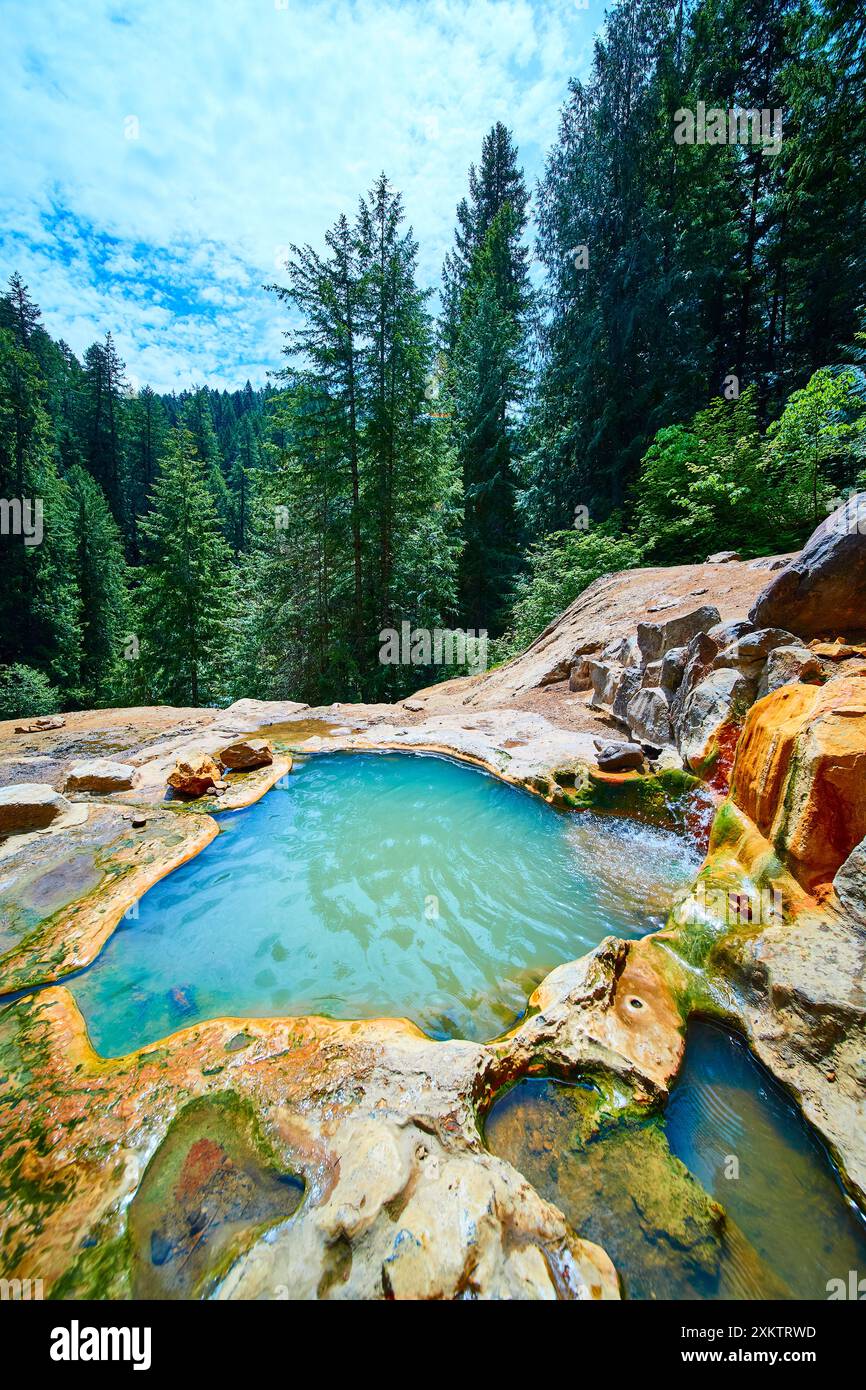 Spa forest hi-res stock photography and images - Alamy