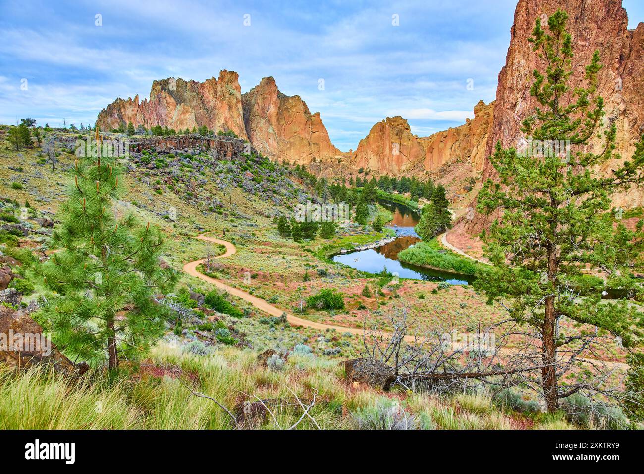 Rocky cliffs lush pine hi-res stock photography and images - Alamy