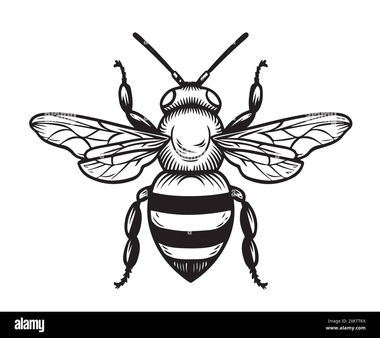 Scratch elegance Stock Vector Images - Alamy